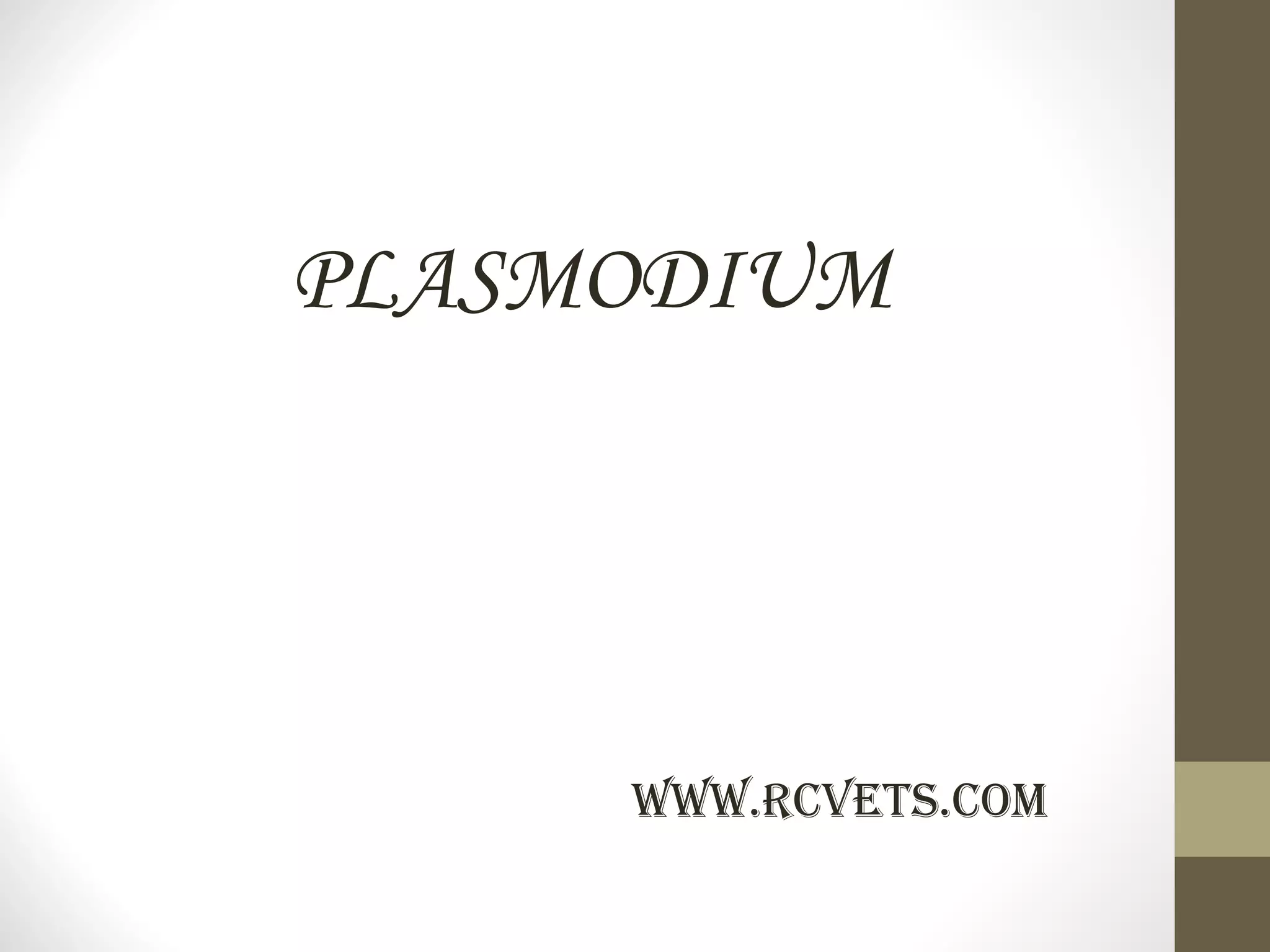 Plasmodium | PPT