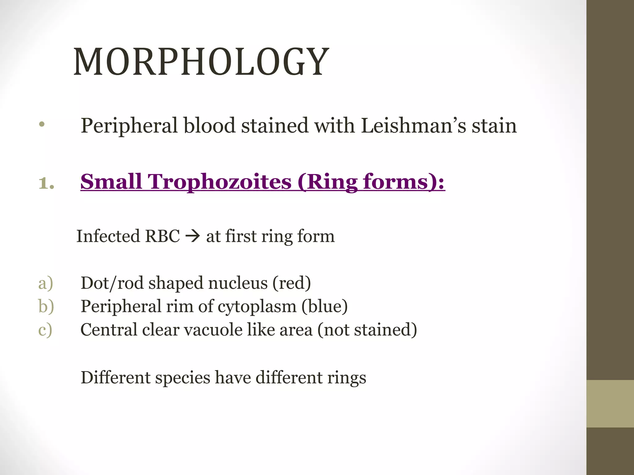 Plasmodium | PPT