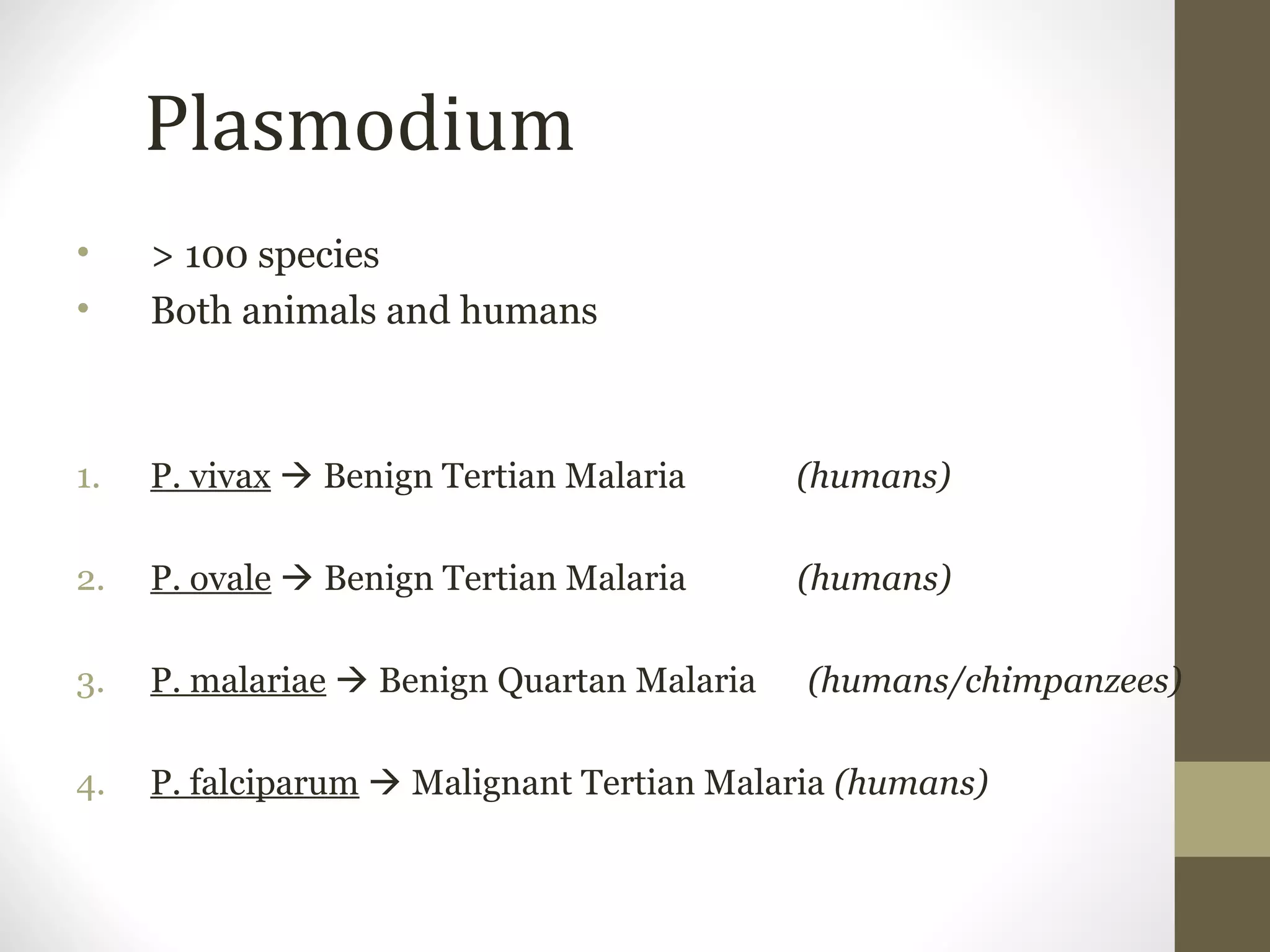 Plasmodium | PPT