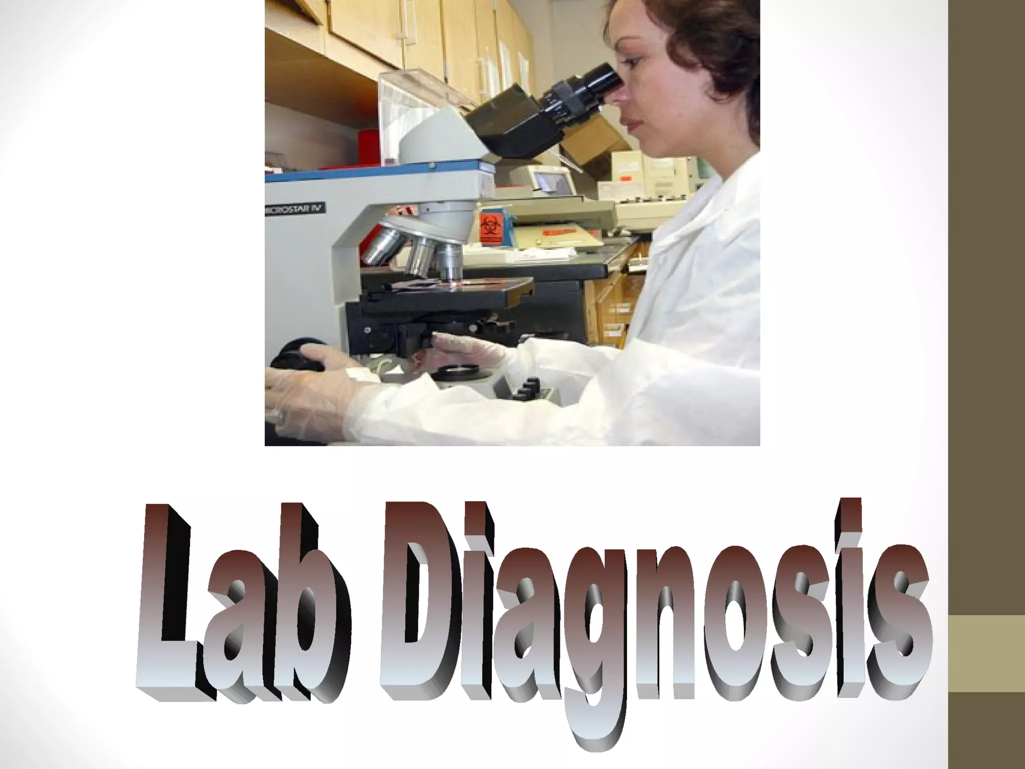 Plasmodium | PPT