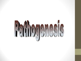 Plasmodium | PPT