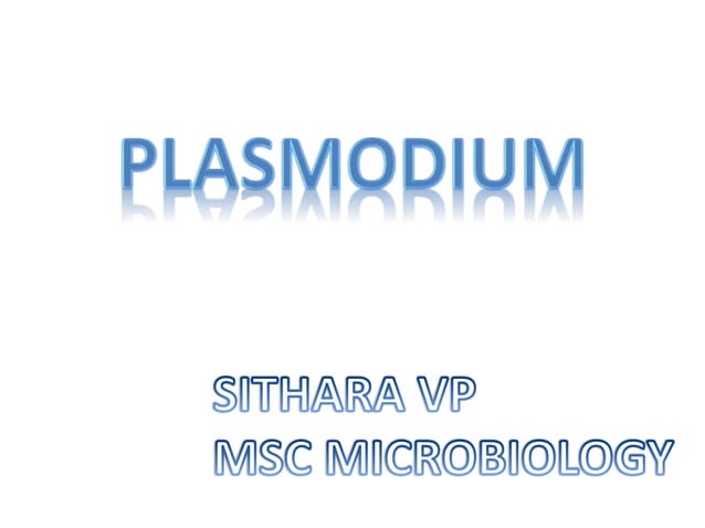 Plasmodium | PPTX | Blood Disorders | Diseases and Conditions