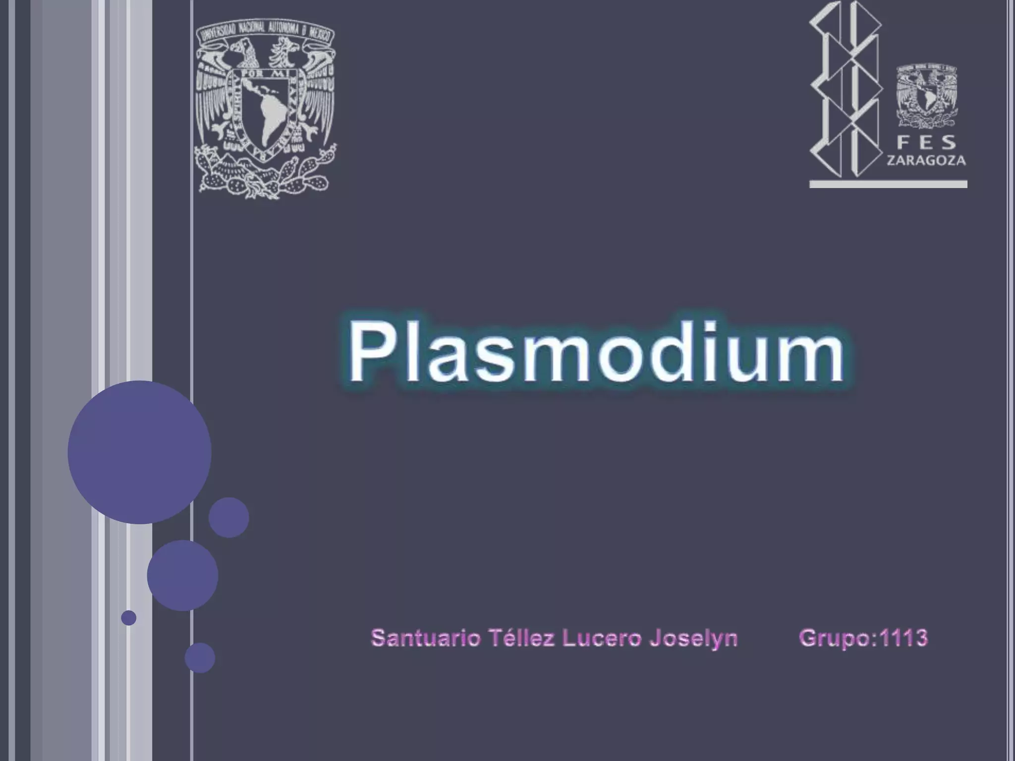 Plasmodium | PPT