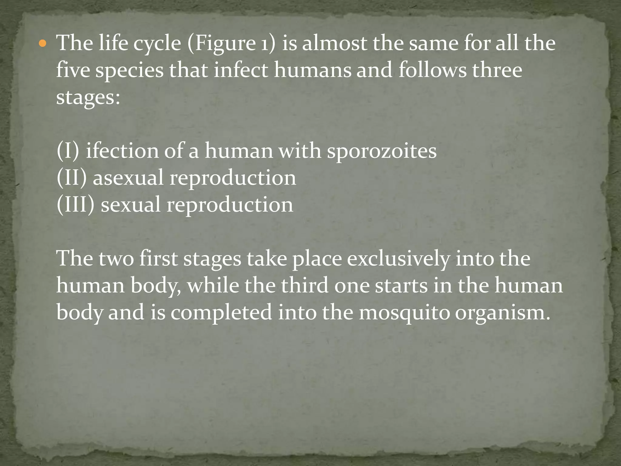 Plasmodium | PPTX | Infectious Diseases | Diseases and Conditions