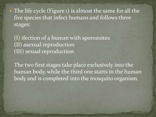 Plasmodium | PPTX