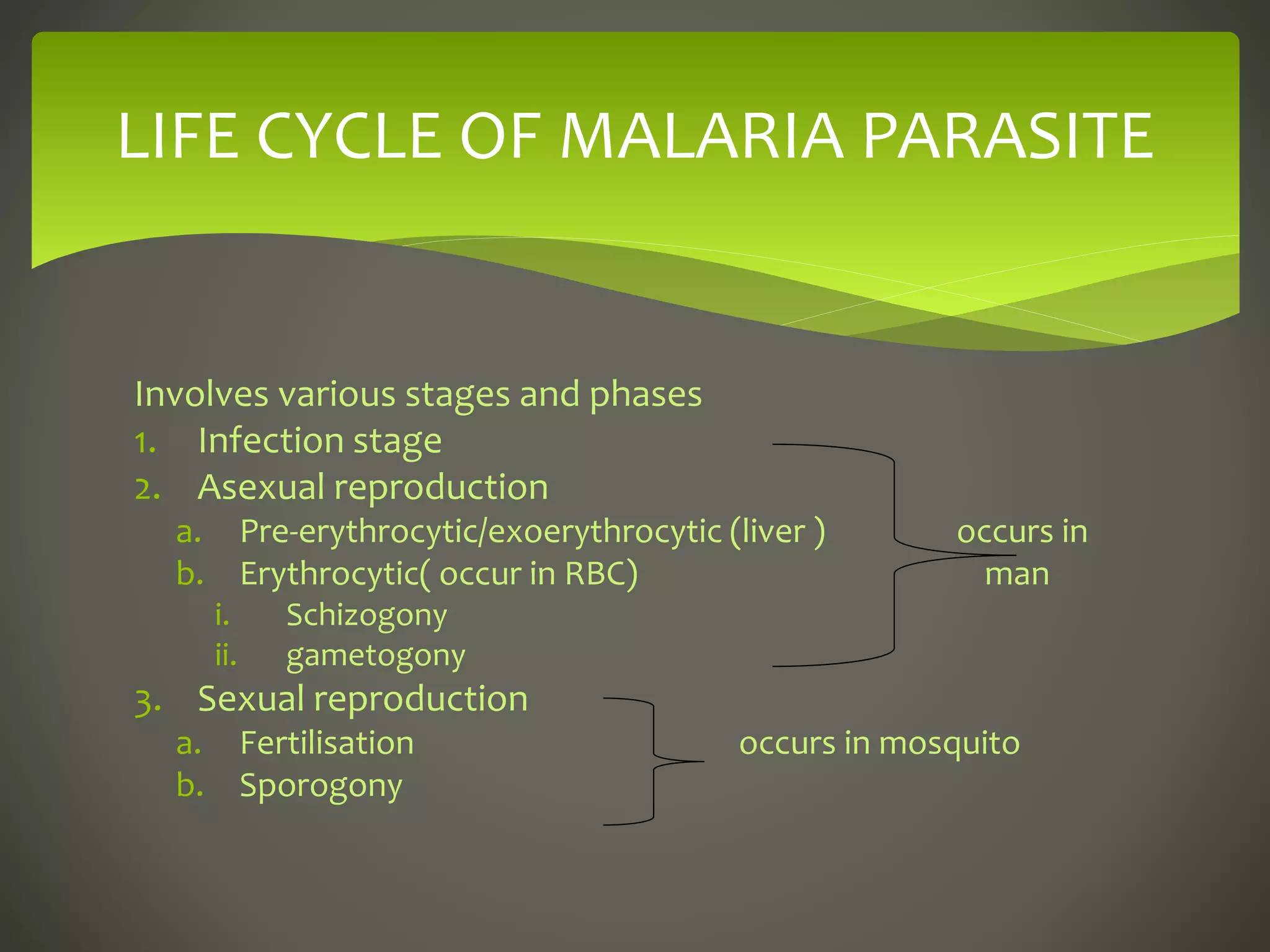 Plasmodium | PPTX