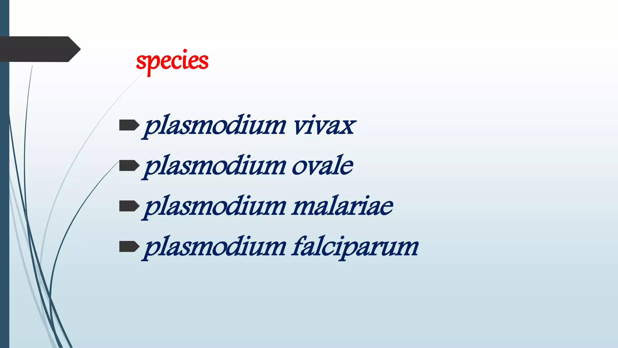 Plasmodium | PPTX | Infectious Diseases | Diseases and Conditions