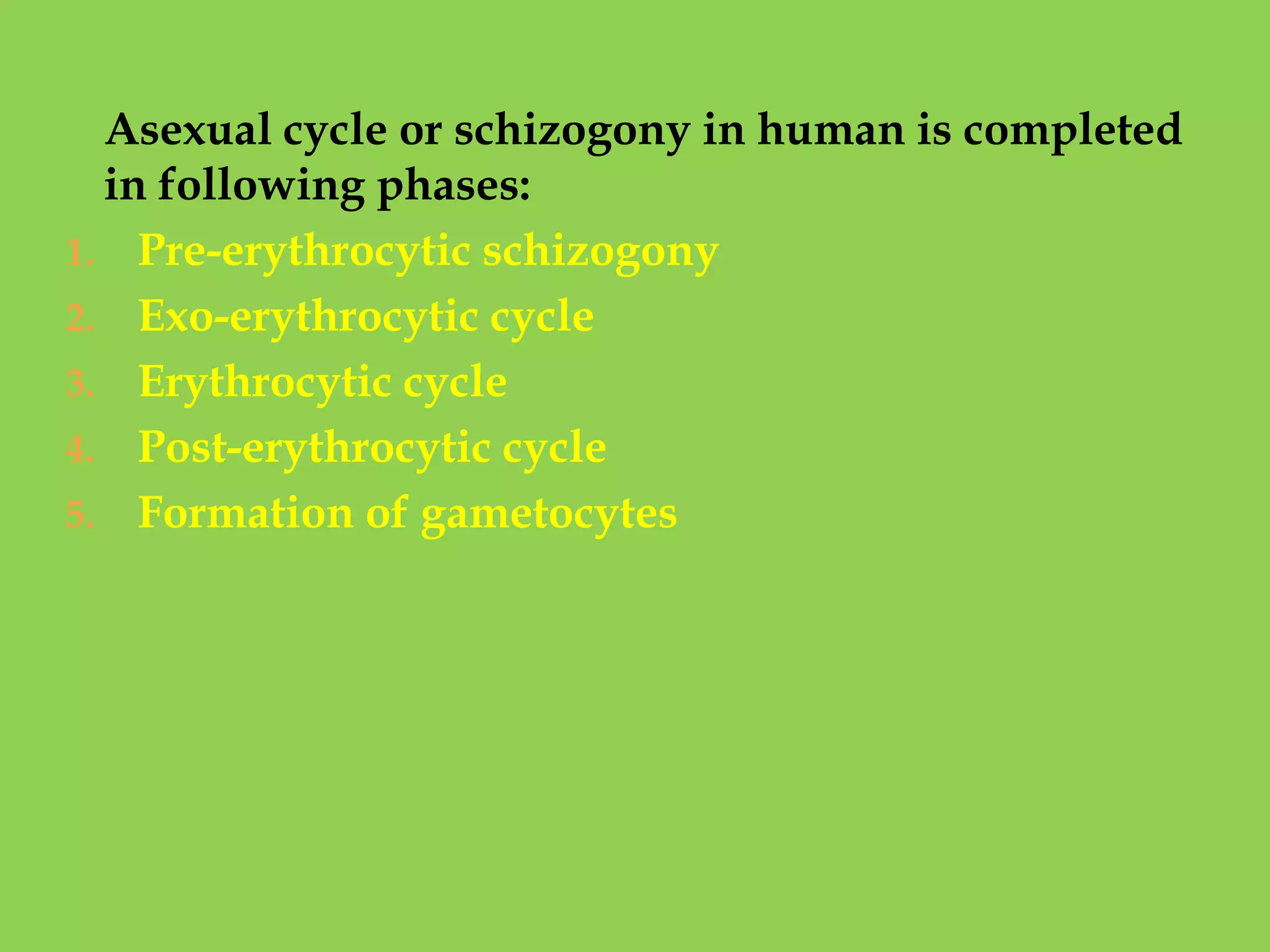 Plasmodium | PPTX