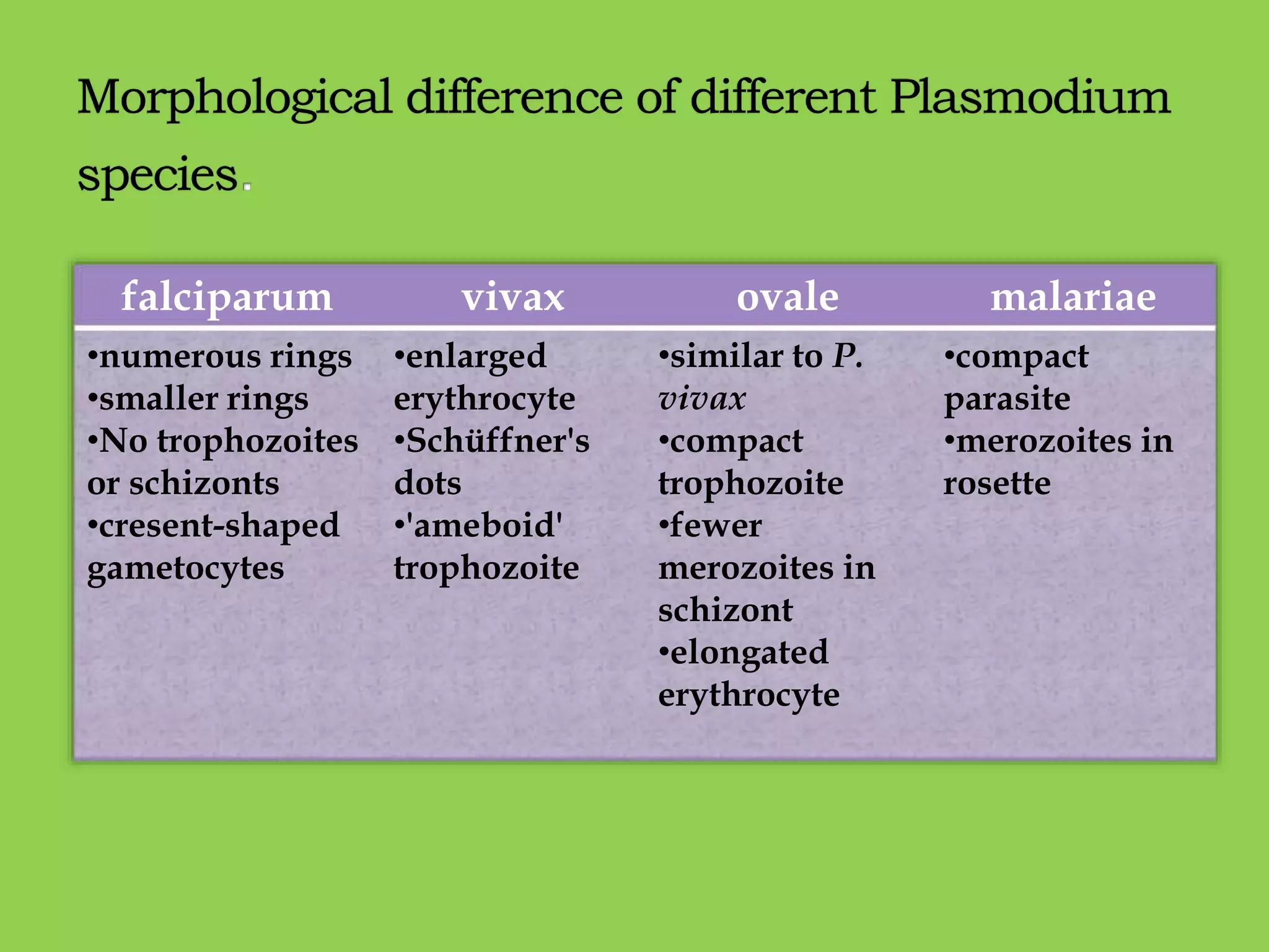 Plasmodium | PPTX