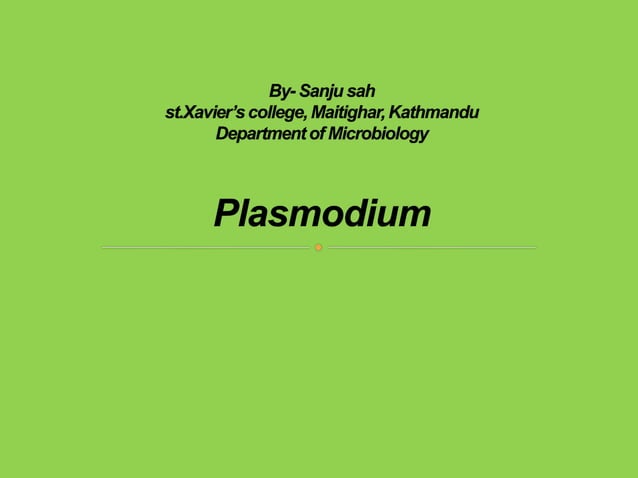 Plasmodium | PPTX | Infectious Diseases | Diseases and Conditions