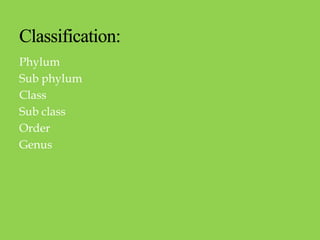 Plasmodium | PPTX