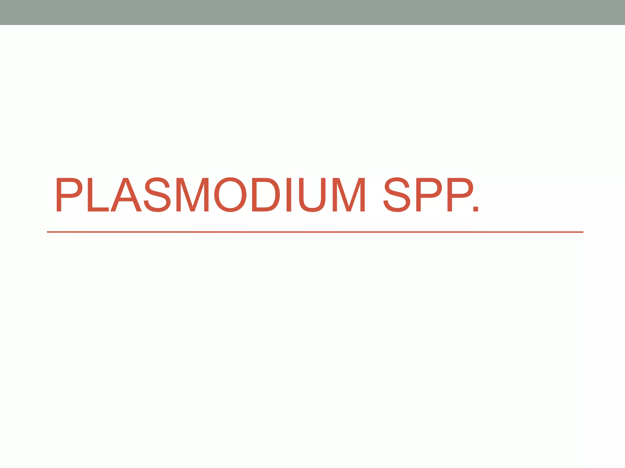 plasmodium.ppt