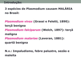 plasmodium.ppt
