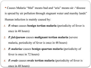 Plasmodium.pptx for medical microbiology | PPTX