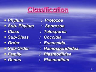 Plasmodium malarial parasite | PPSX