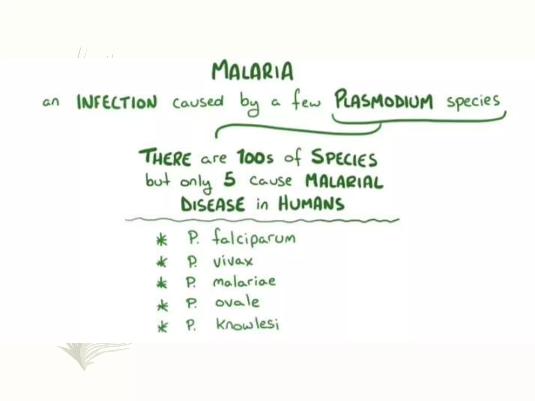 Plasmodium | PPTX