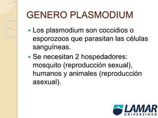 Plasmodium | PPTX