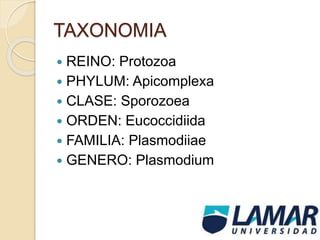 Plasmodium | PPTX