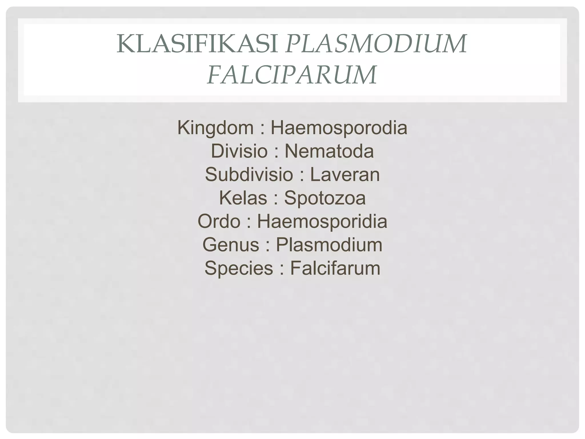 Plasmodium falciparum | PPTX