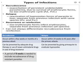 Plasmodium Lecture dr. berroya.pptx