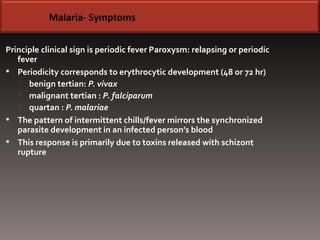 Plasmodium Lifecycle | PPT