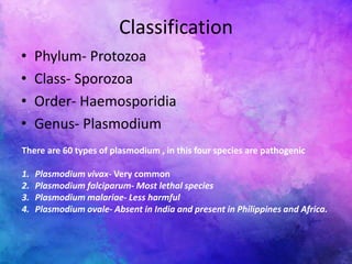 Lifecycle of Plasmodium | PPTX