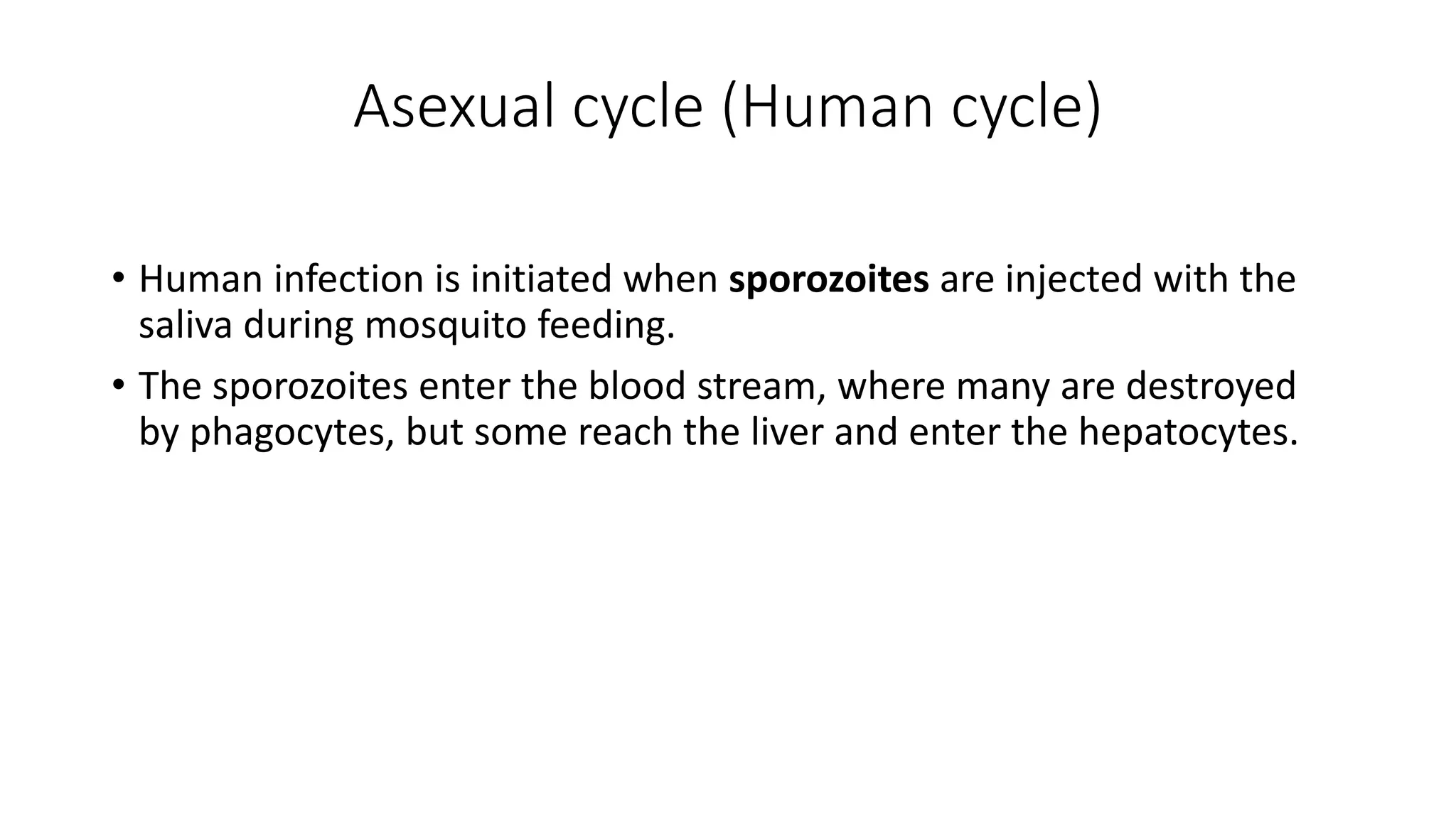 Malaria- Introduction and life cycle of plasmodium | PPTX
