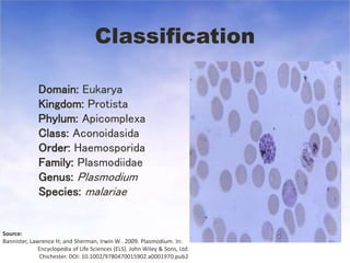 Plasmodium malariae | PPTX