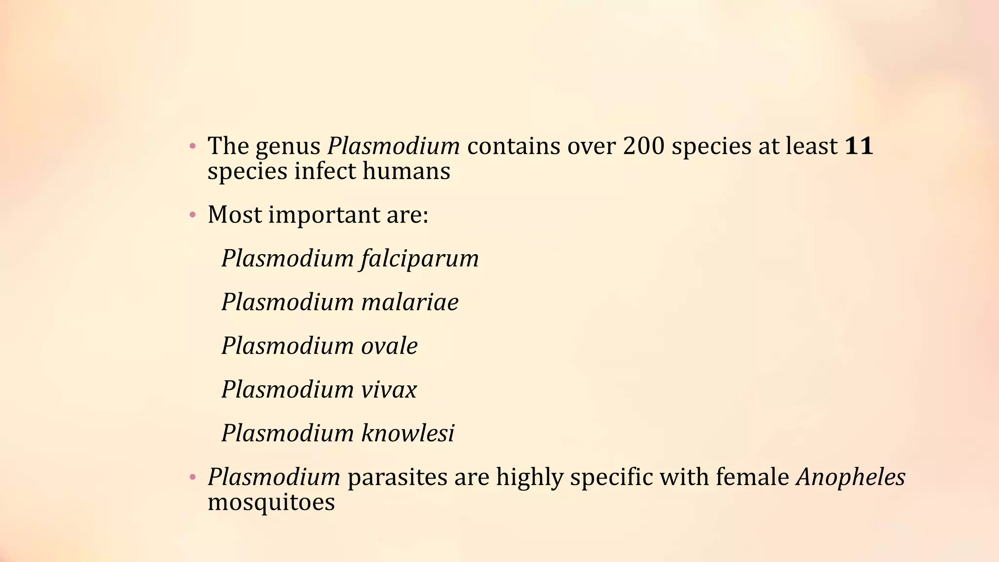 Plasmodium malariae | PPTX