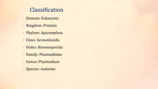 Plasmodium malariae | PPTX