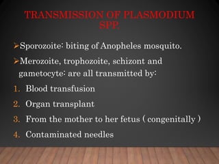 Plasmodium species, life cycle and stages, diseases, diagnoses ...