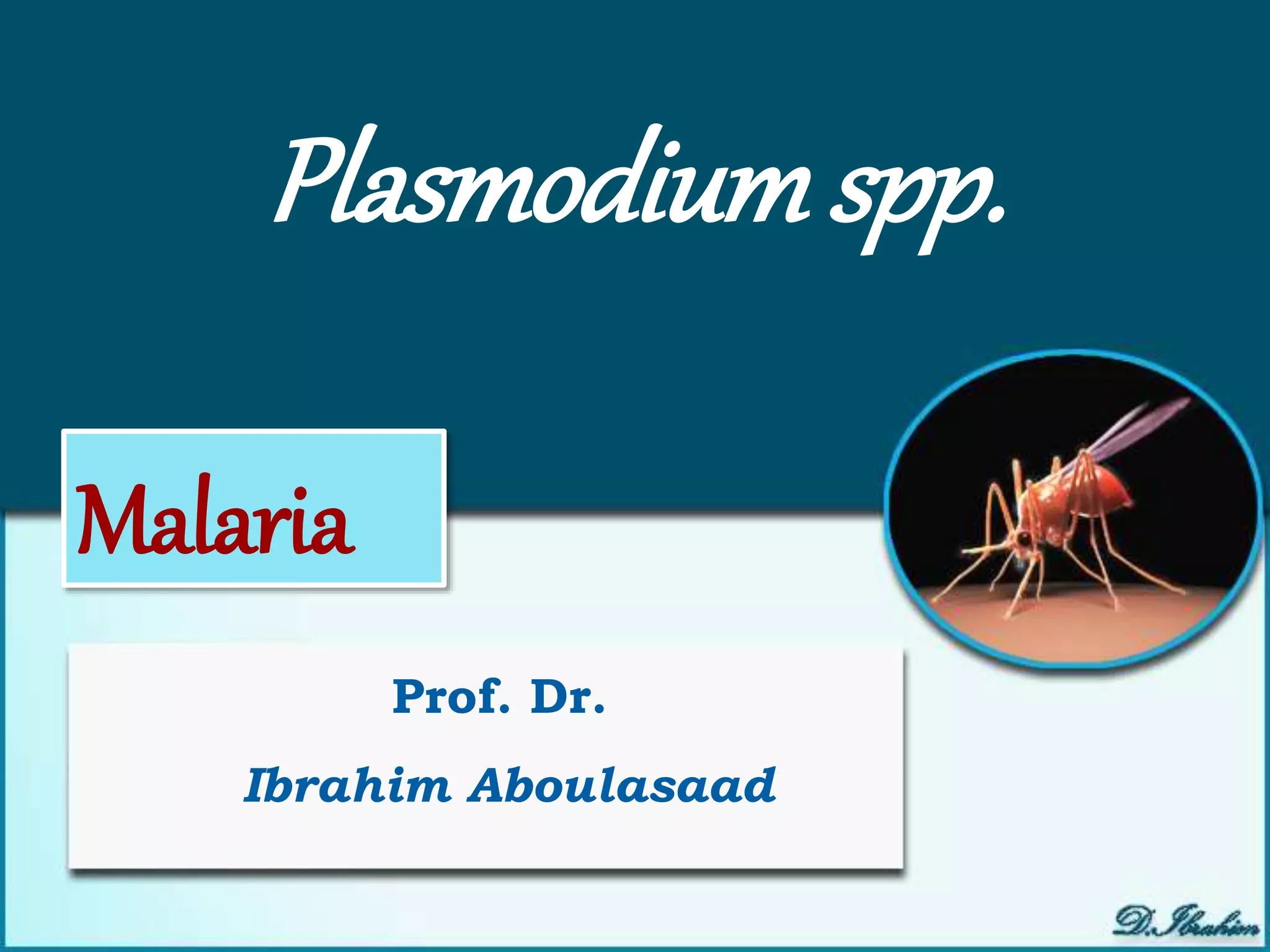Plasmodium spp.pptx