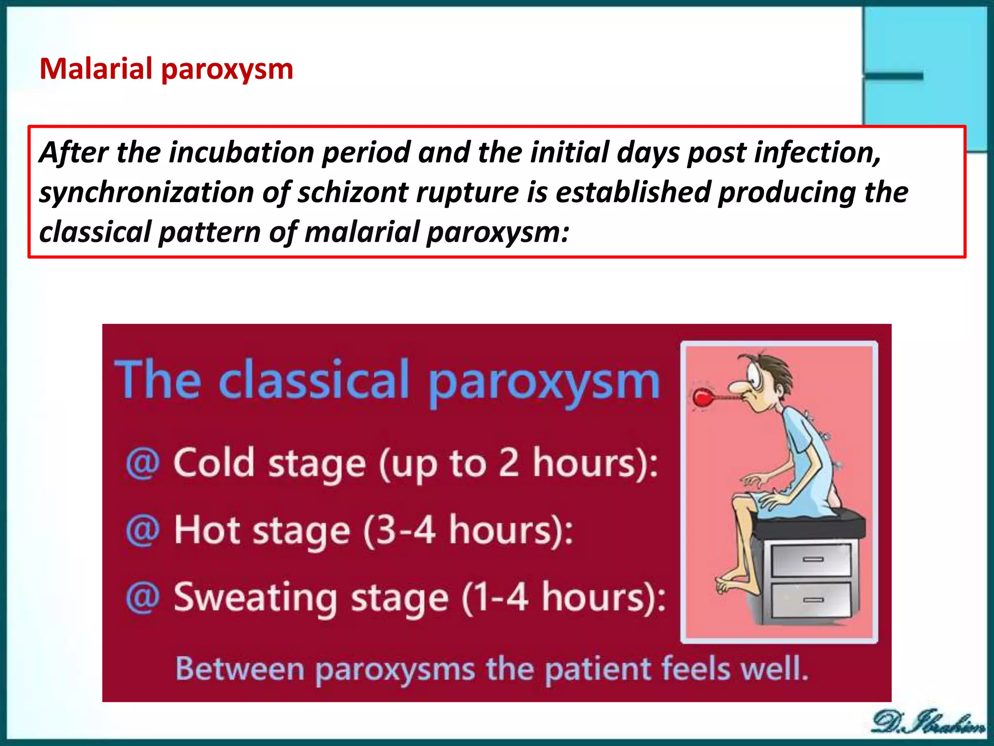 Plasmodium spp.pptx