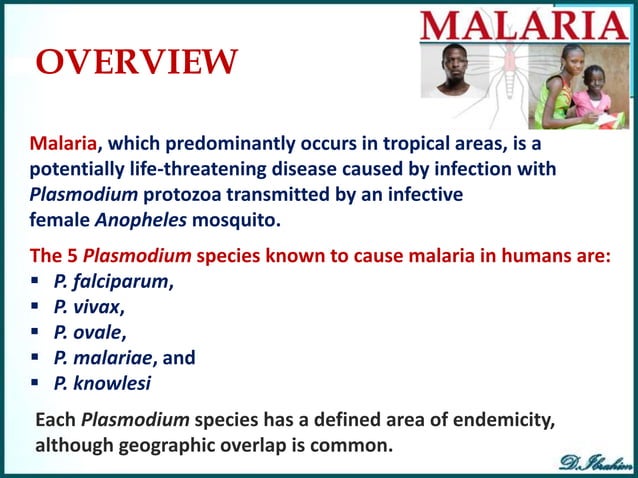 Plasmodium spp.pptx | Infectious Diseases | Diseases and Conditions
