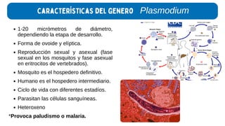 Plasmodium spp.pdf Microbiología y Parasitología médicas | PDF