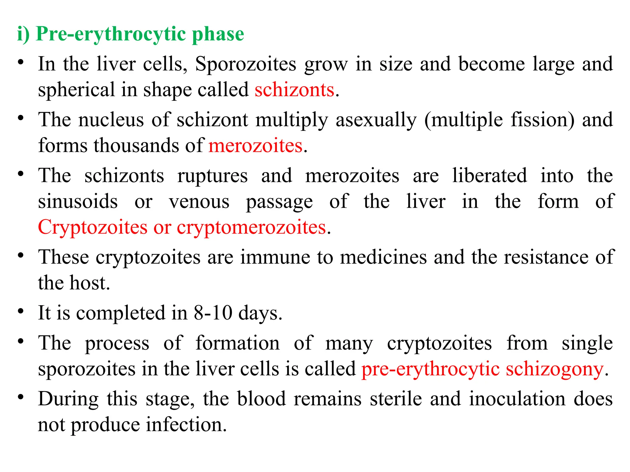Plasmodium vivax life cycle in the host.pptx