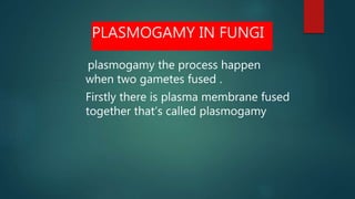 Plasmogamy | PPT