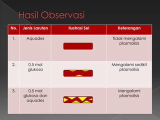 Plasmolisis | PPTX
