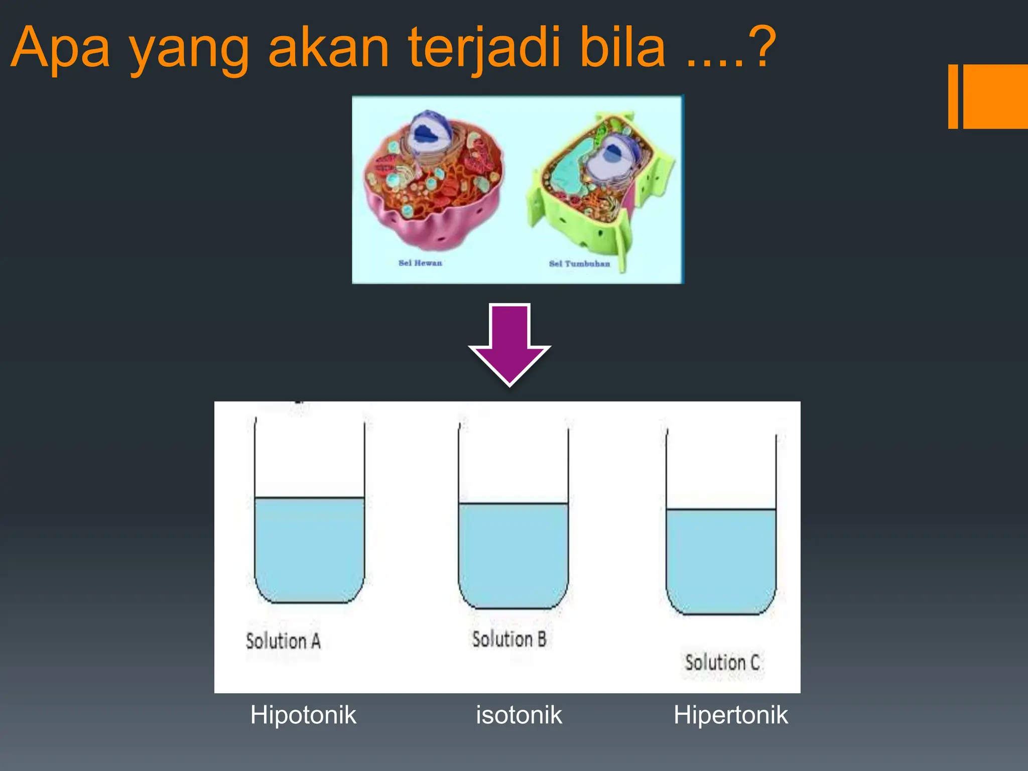 PLASMOLISIS DAN TRANSPOR AKTIF PADA SEL.pptx