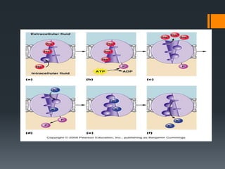 PLASMOLISIS DAN TRANSPOR AKTIF PADA SEL.pptx