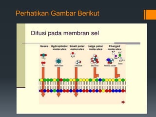PLASMOLISIS DAN TRANSPOR AKTIF PADA SEL.pptx