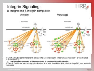 Mechanisms of Plaque Rupture in Advanced Atherosclerosis | PPT