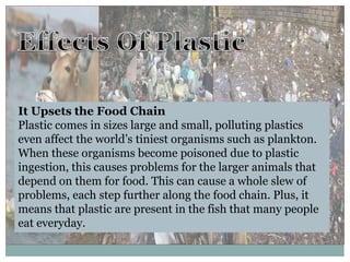 Plastic and its harmful effects | PPTX
