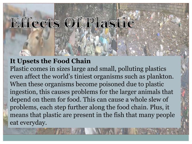 Plastic and its harmful effects | PPTX | Indoor Environmental Quality ...