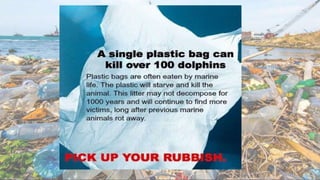 Plastic pollution in Pakistan and its solutions | PPTX