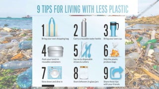 Plastic pollution in Pakistan and its solutions | PPTX