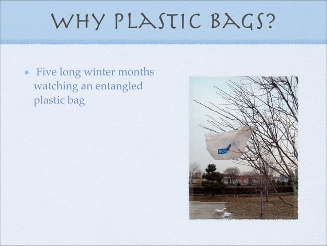 Plastic Bags | PDF