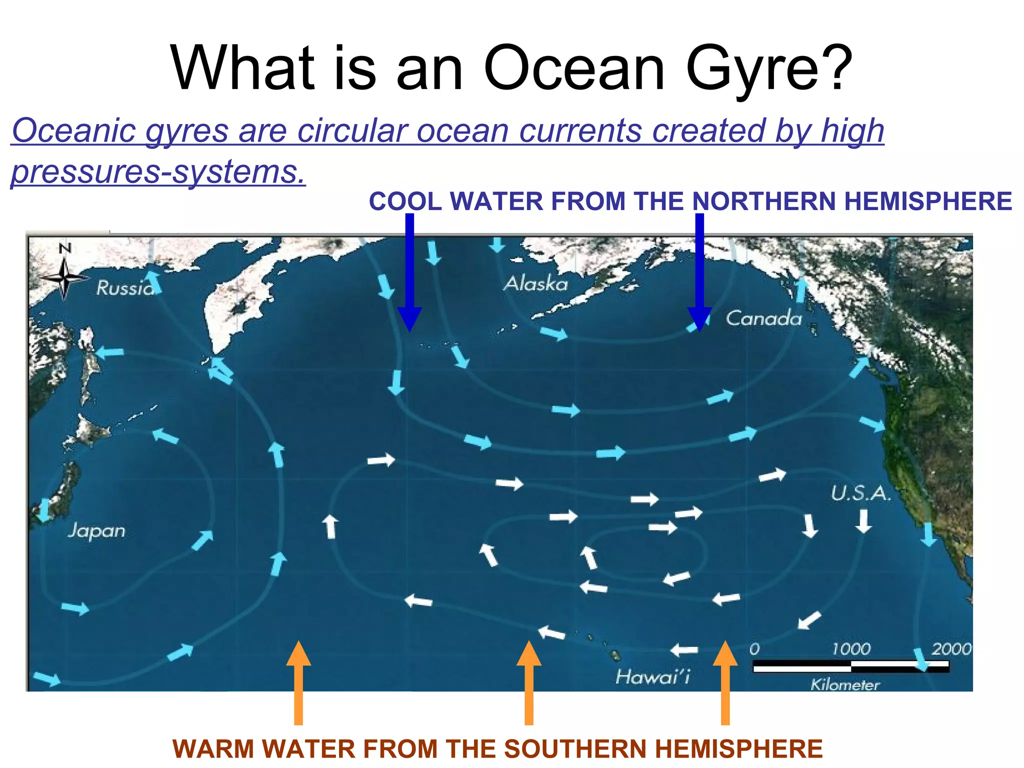 Plastic Pollution in Our Oceans | PPT
