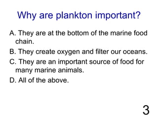 Plastic Pollution in Our Oceans | PPT