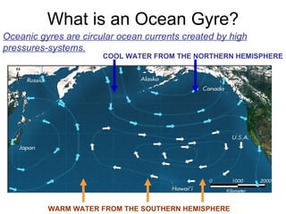 Plastic Pollution in Our Oceans | PPT